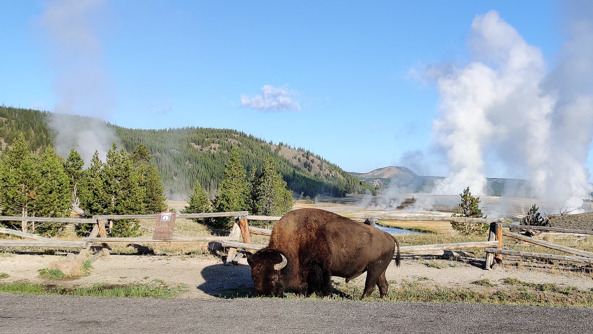 Yellowstone NP - On The Global Road